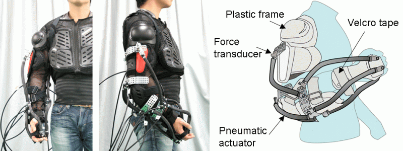 Muscle Control project – Biorobotics and Human Modeling Laboratory ...
