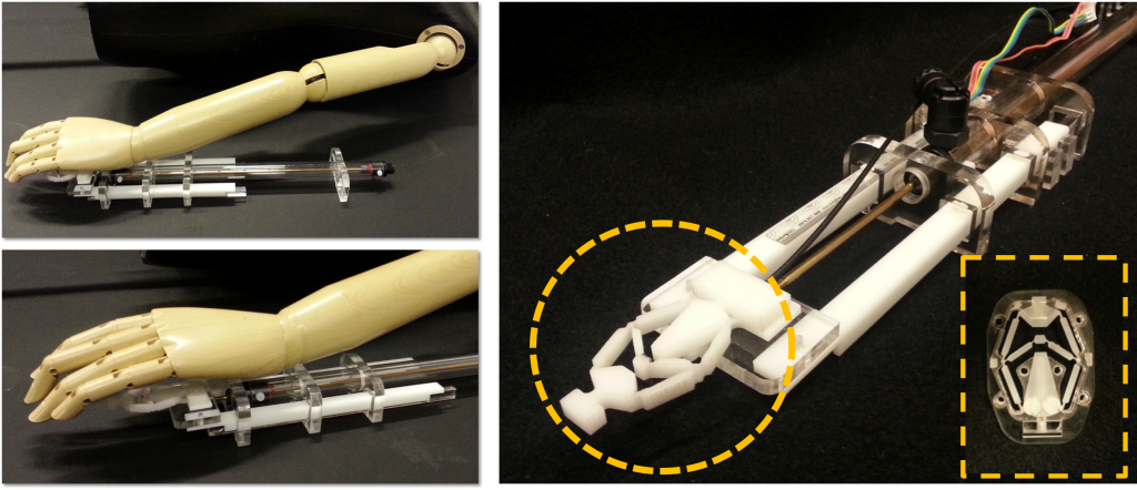 Rehabilitation via MRI Compatible Systems – Biorobotics and Human ...