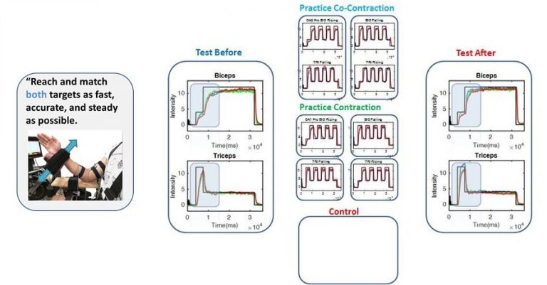 National Robotics Initiative Project – Biorobotics and Human Modeling ...