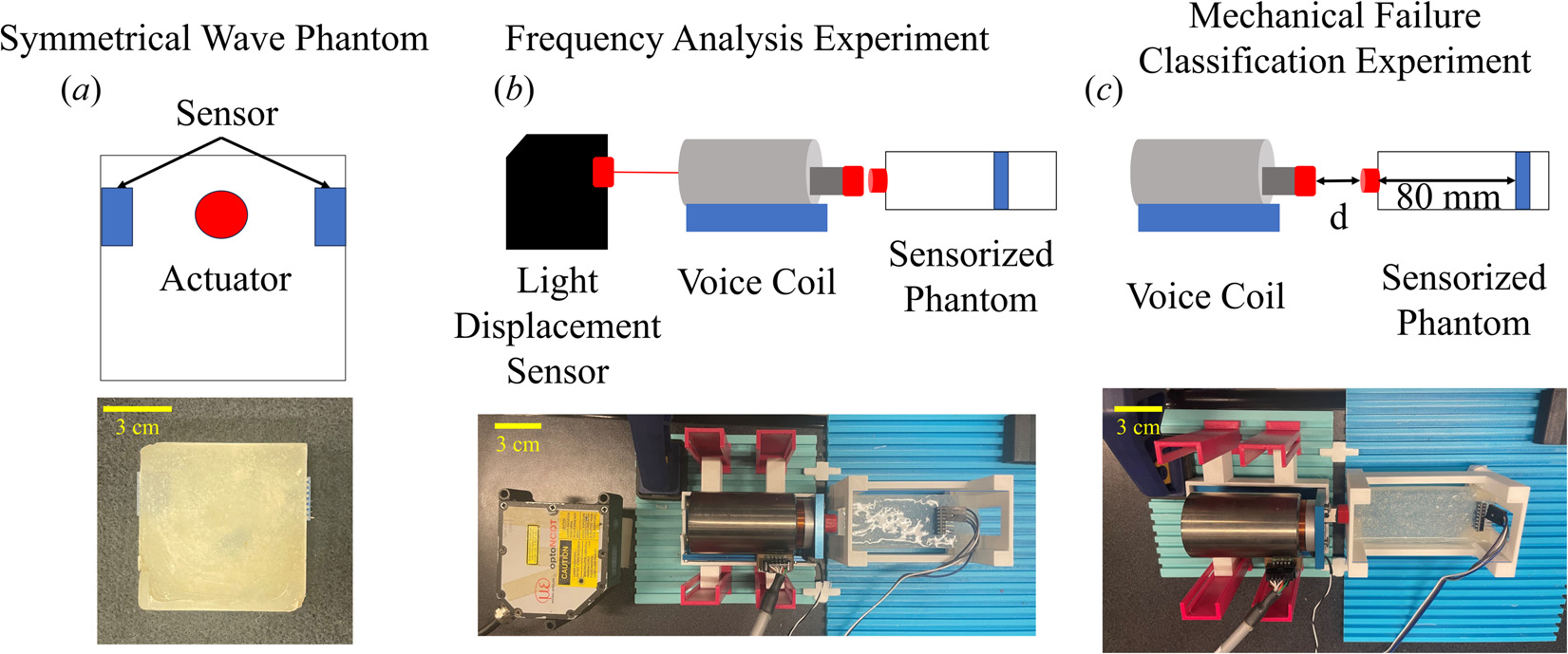 Sensor-Embedded Tissue Phantom for Magnetic Resonance Elastography ...
